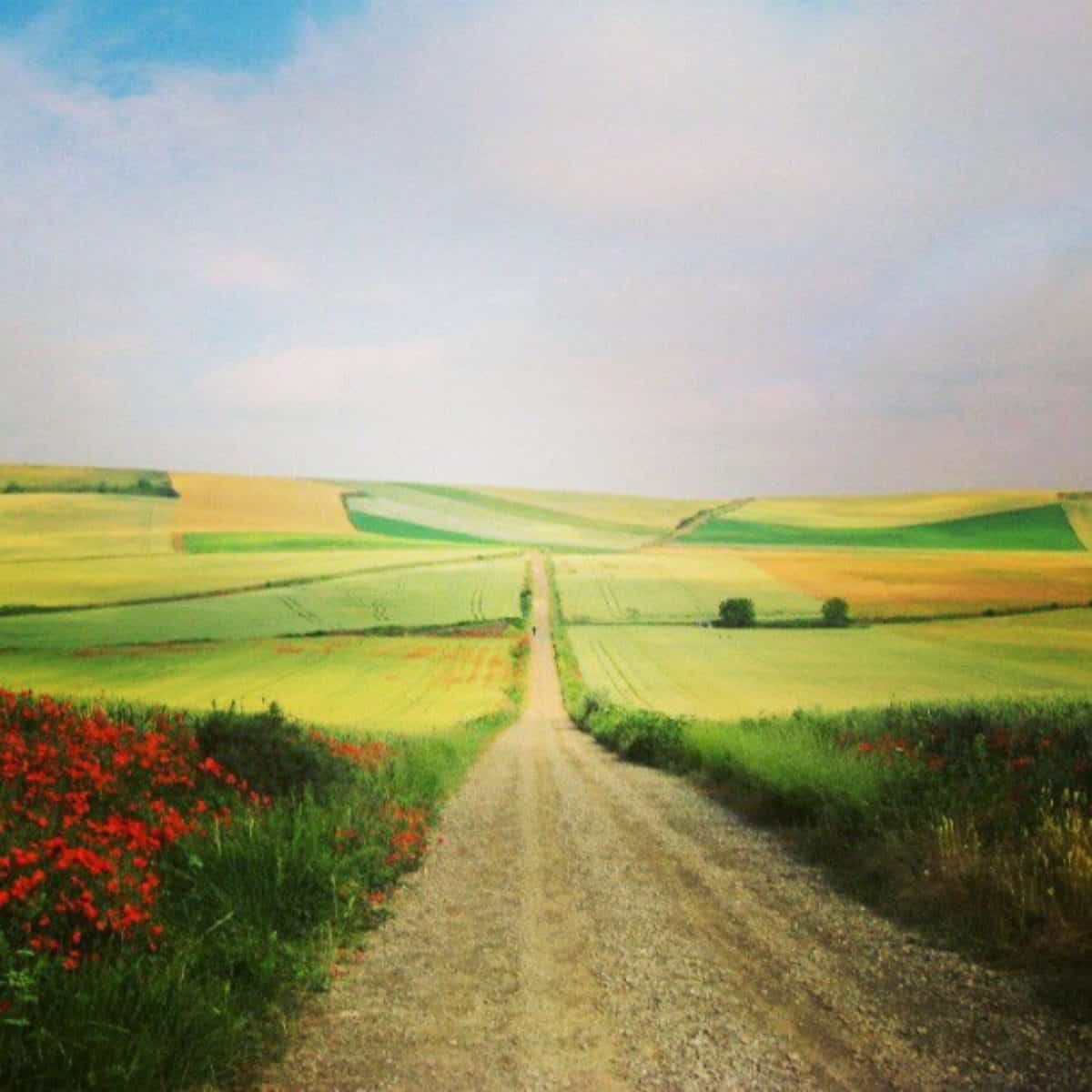 Top Des Choses Qu’on A Connu En Grandissant à La Campagne